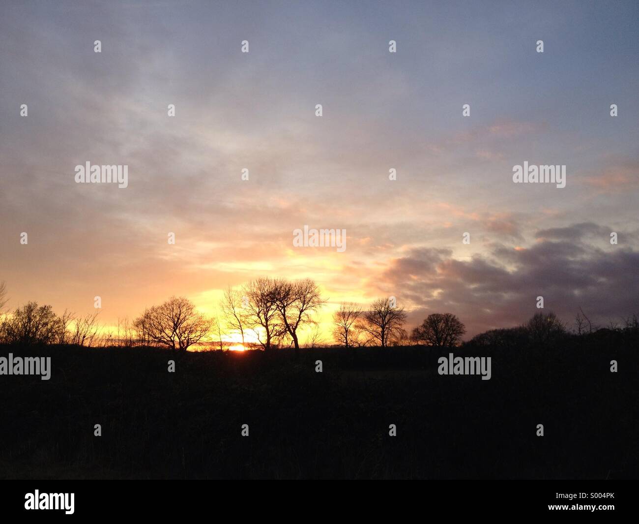 Trees red sky hi-res stock photography and images - Alamy