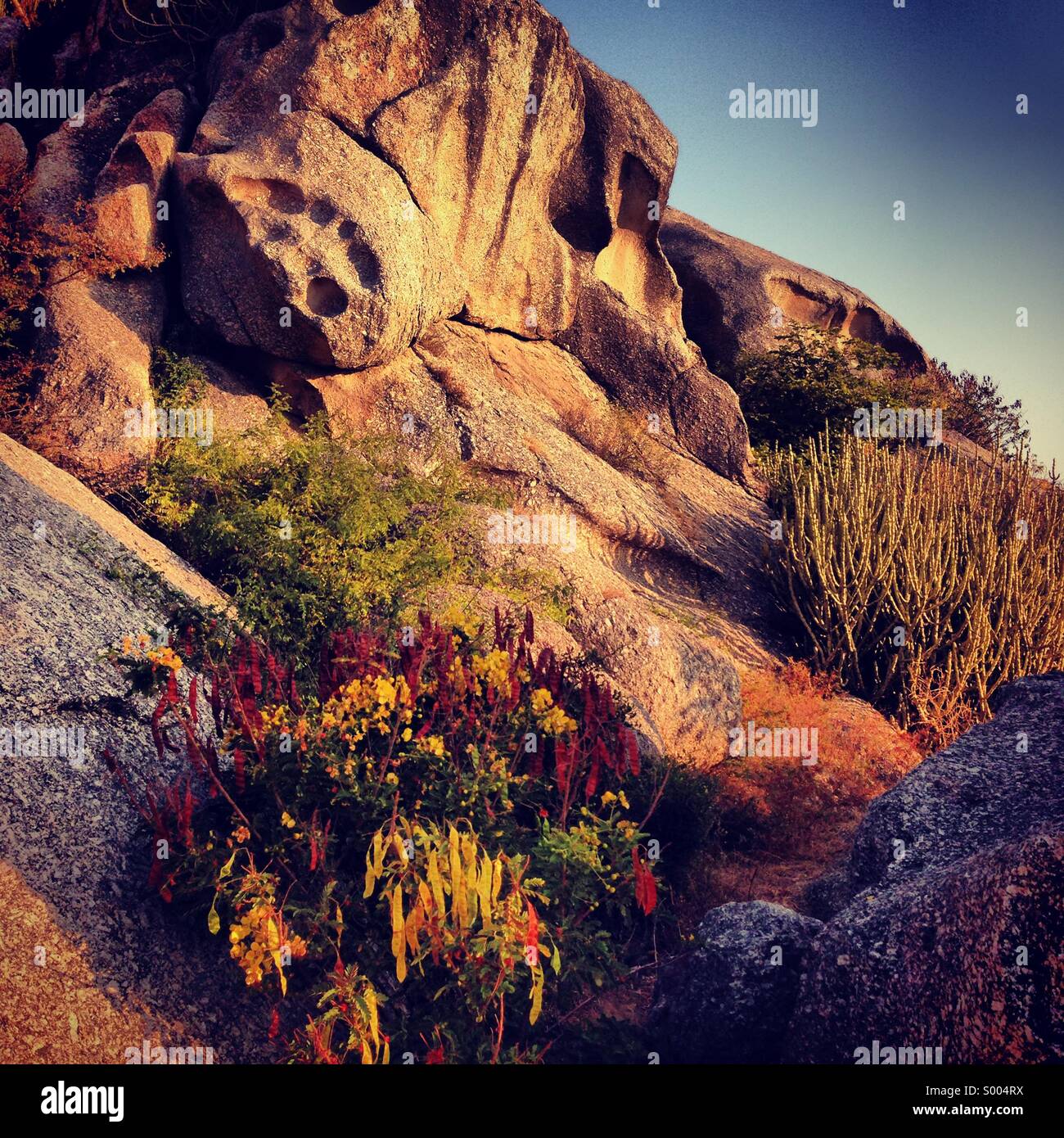 Granite rock outcrop, India Stock Photo - Alamy