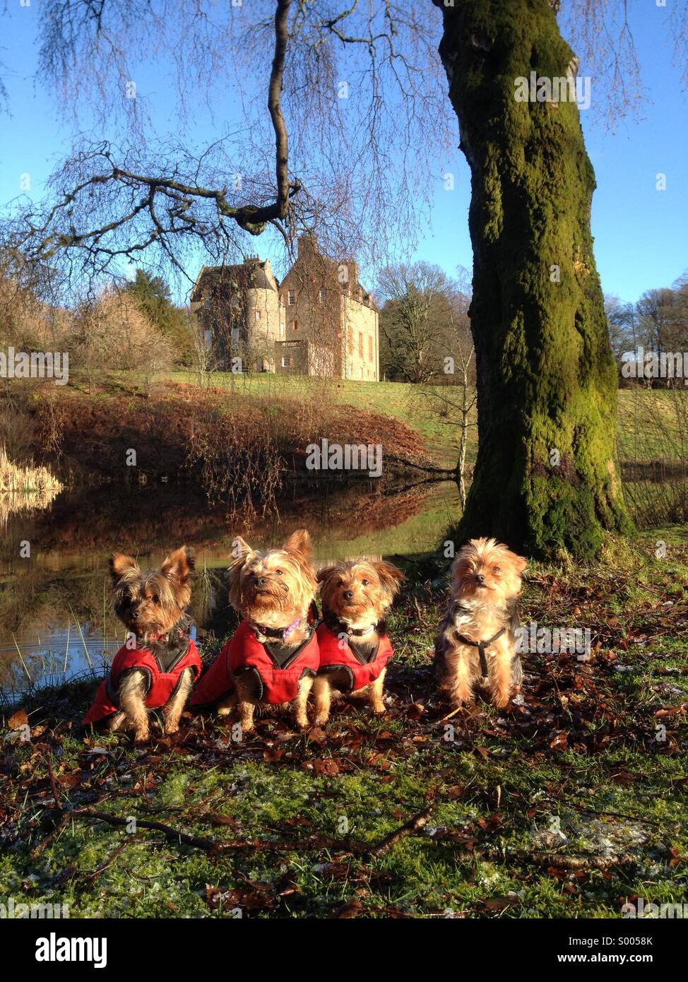 The Four Musketeers High Resolution Stock Photography and Images - Alamy