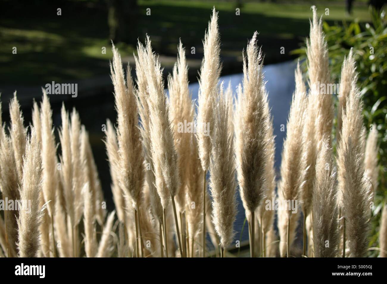 Soft light water hi-res stock photography and images - Alamy