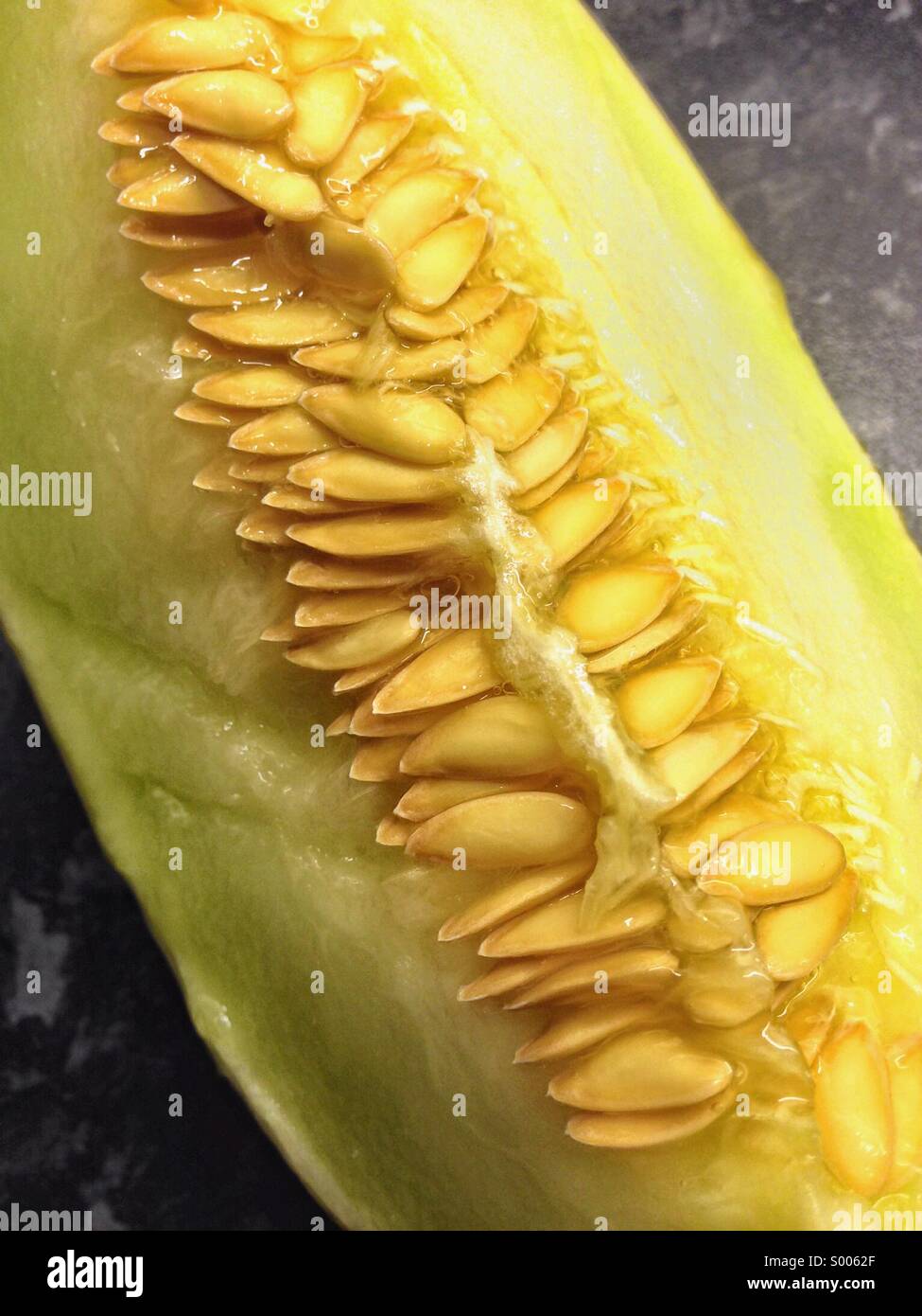 Melon detail, Leyland, Lancashire, uk Stock Photo - Alamy