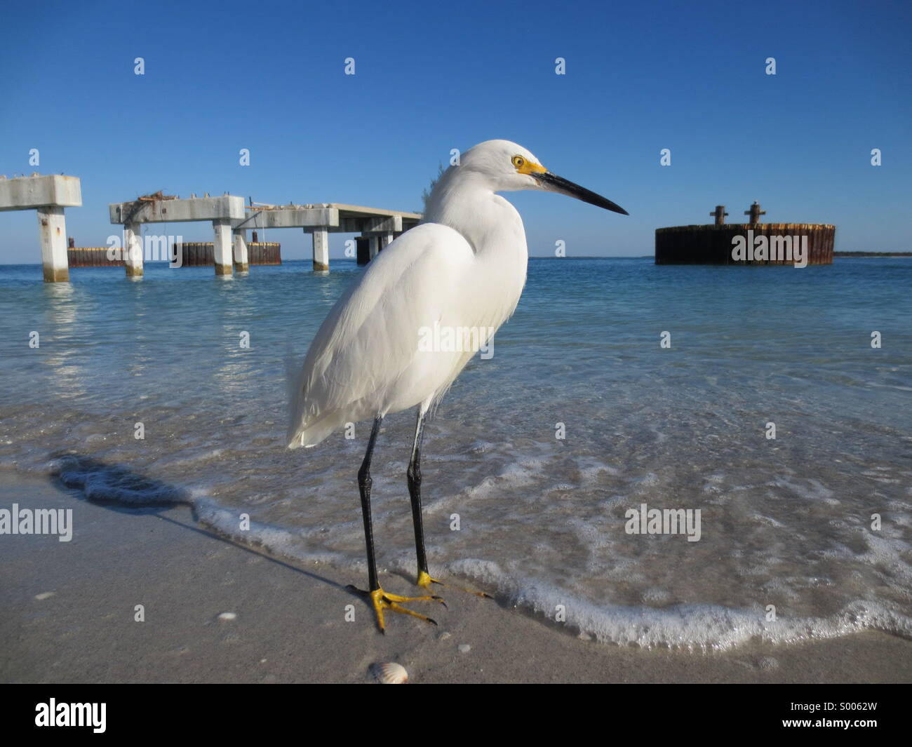 Florida grande hi-res stock photography and images - Alamy
