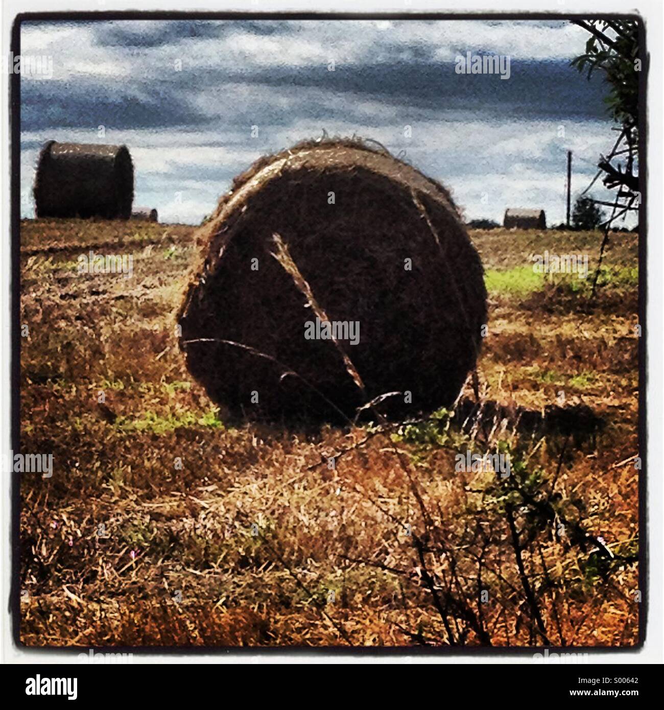 Roll of straw in a farmers field Stock Photo - Alamy