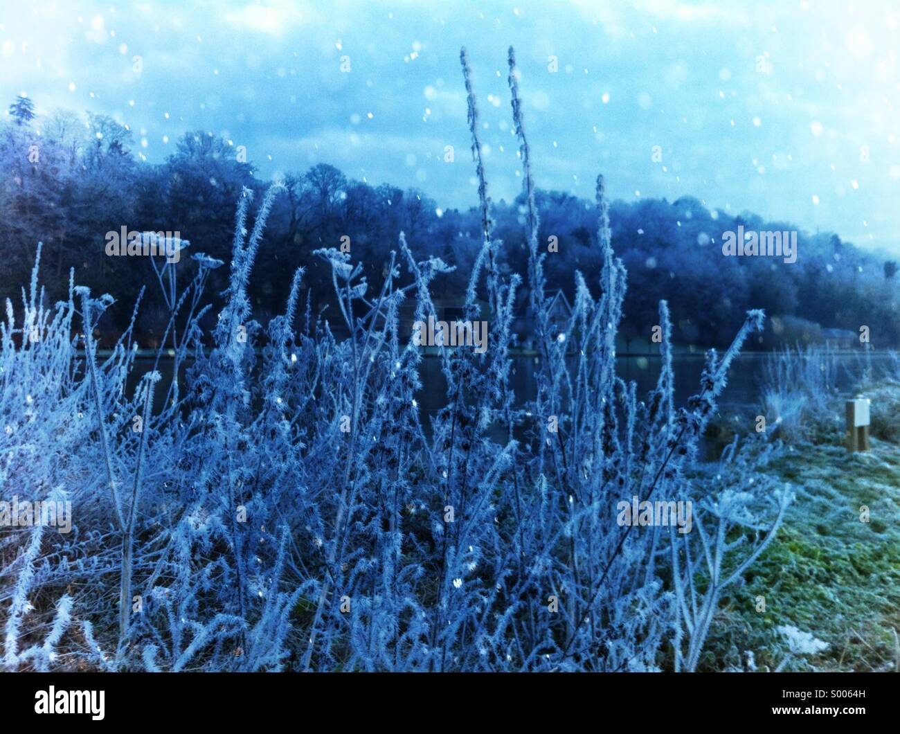 Frozen winter landscape Stock Photo - Alamy