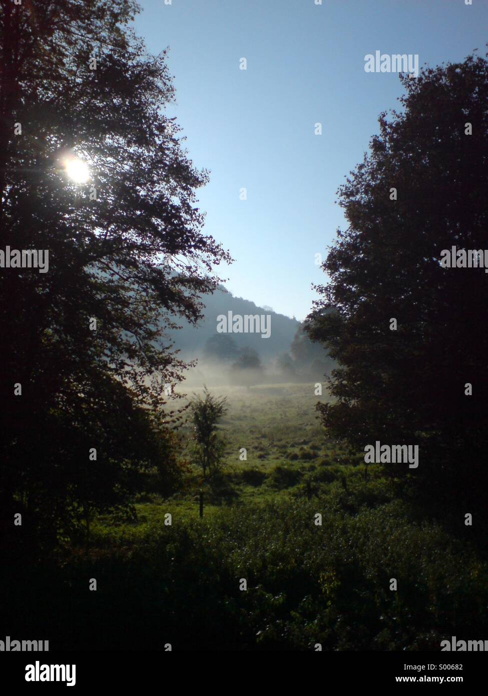 Mist box hill hi-res stock photography and images - Alamy