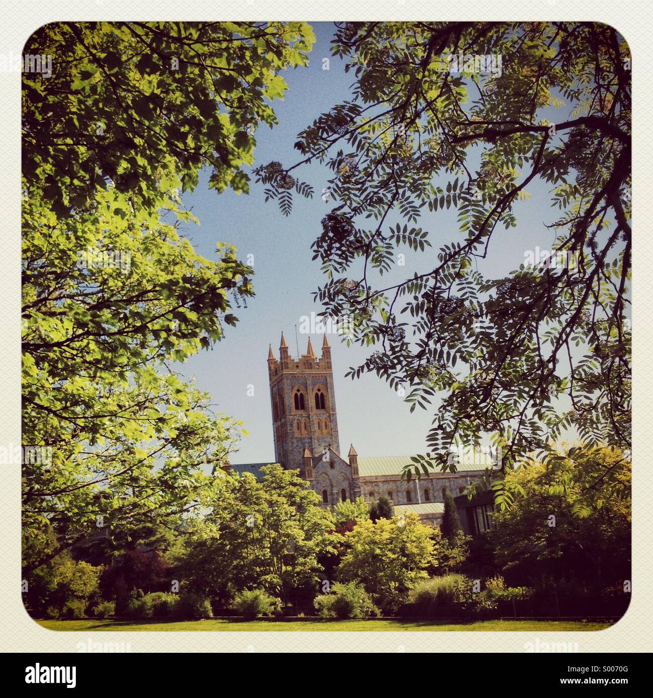 Buckfast Abbey in Buckfastleigh, Devon, UK Stock Photo - Alamy