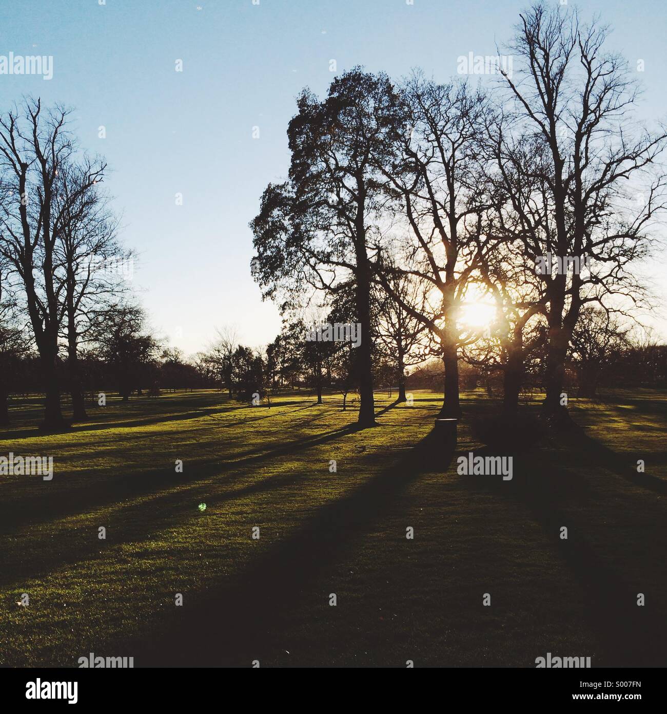 Low afternoon winter sun creating silhouettes and shadows across a ...