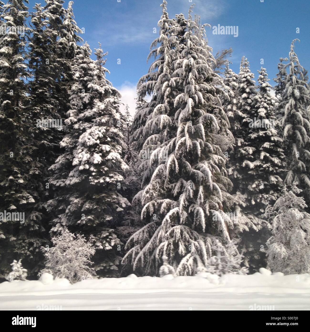 Starlight express train hi-res stock photography and images - Alamy