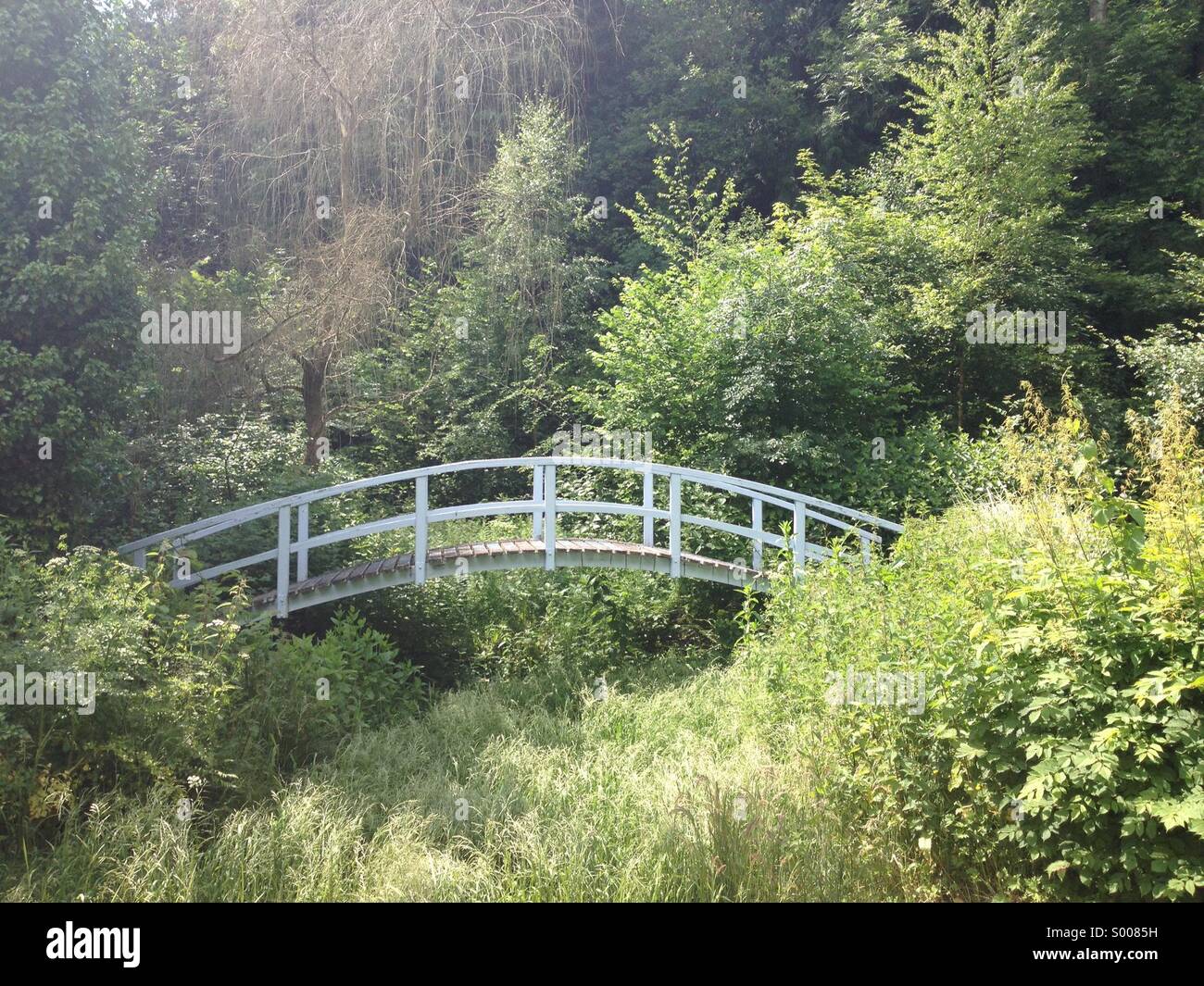 The blue bridge, Prescoed, Wales Stock Photo - Alamy