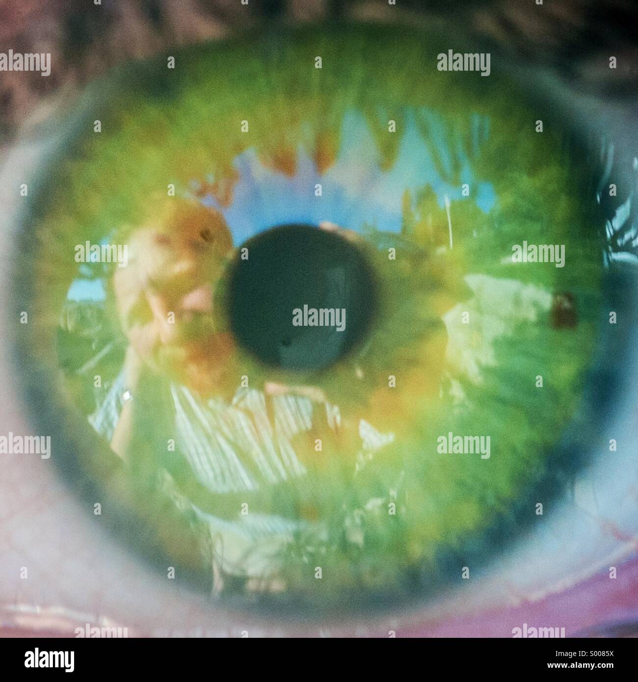 Reflection of person in a green eye Stock Photo - Alamy