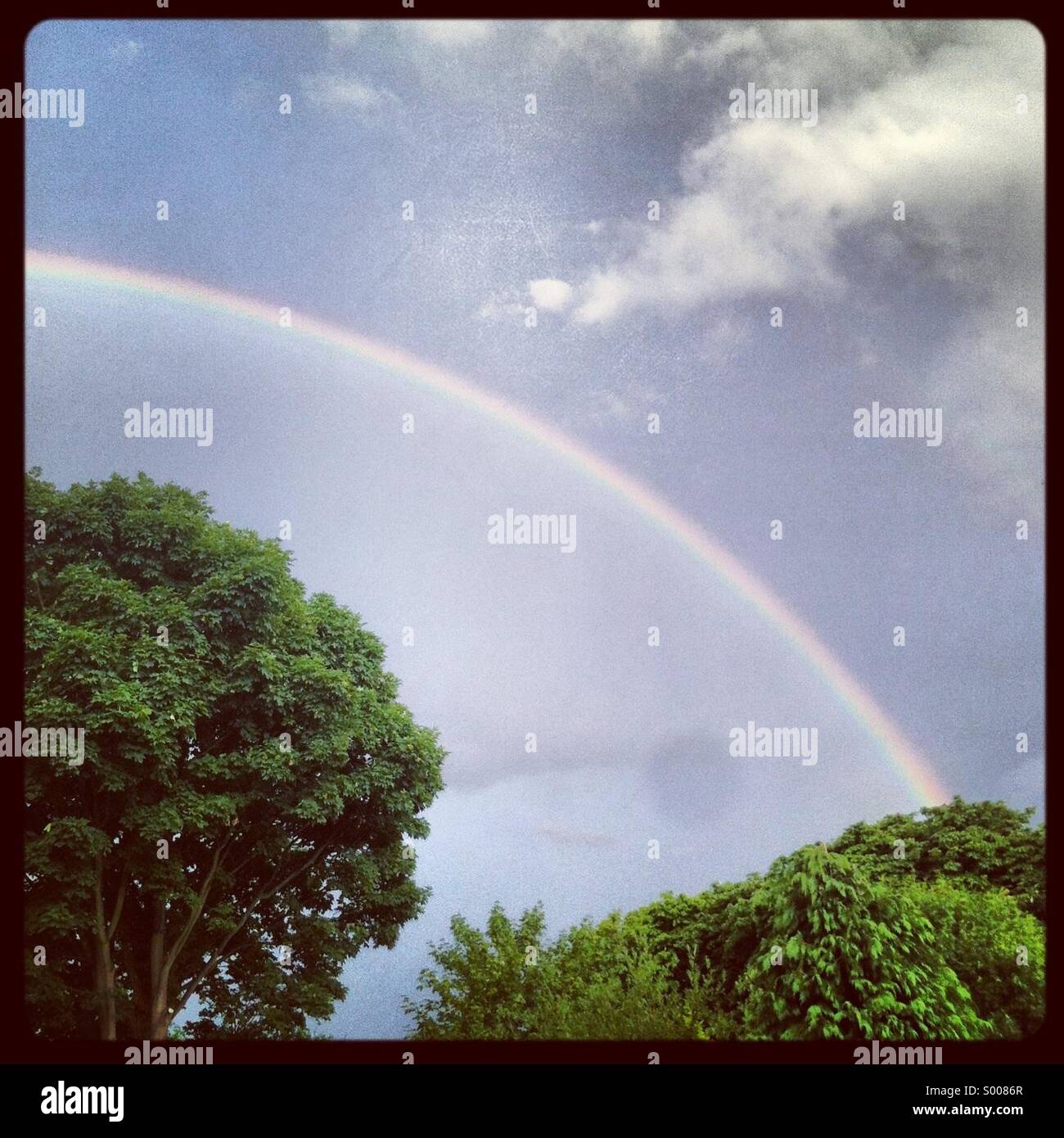 Rainbow and trees hi-res stock photography and images - Alamy