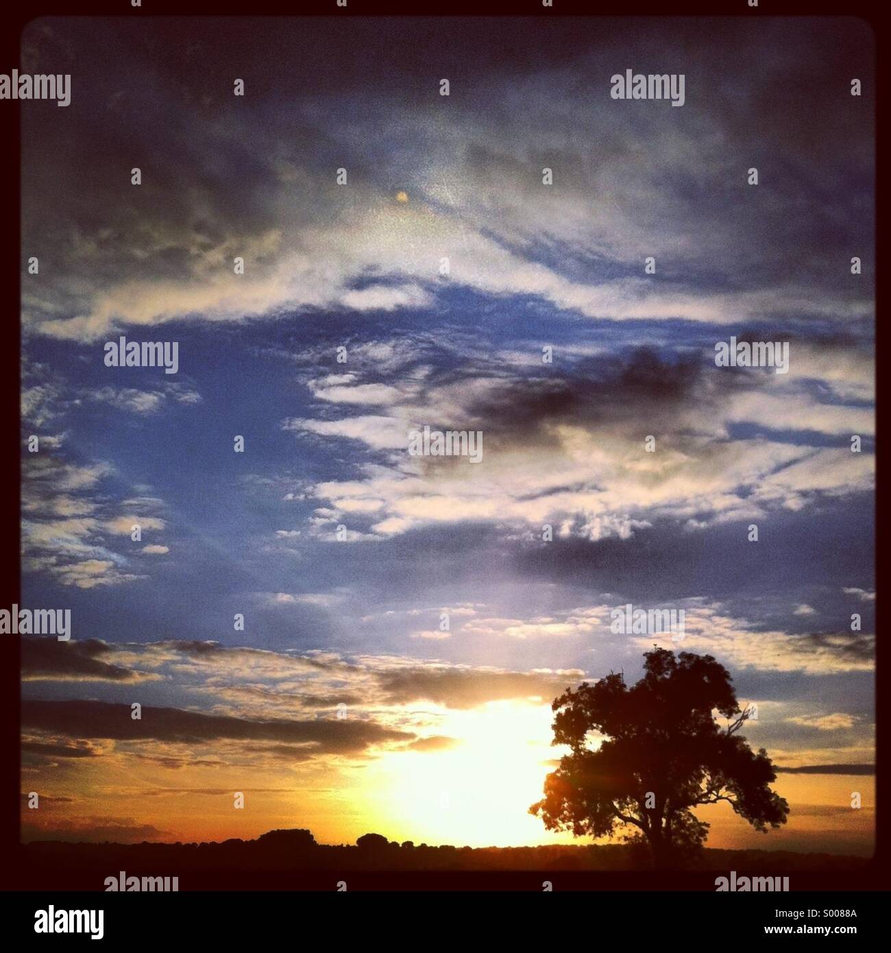 Sunrise over tree Stock Photo - Alamy