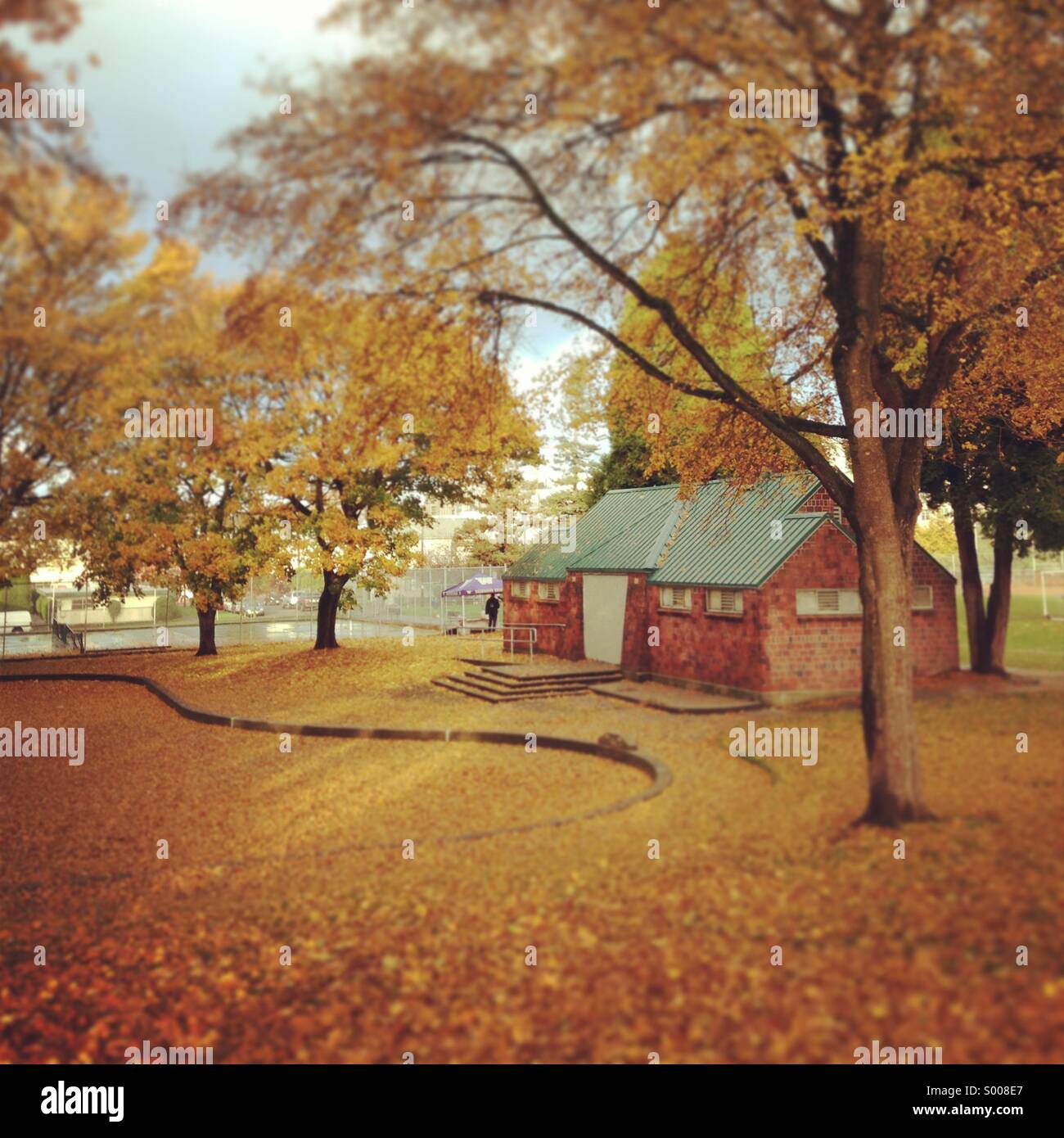 Wading pool hi-res stock photography and images - Alamy