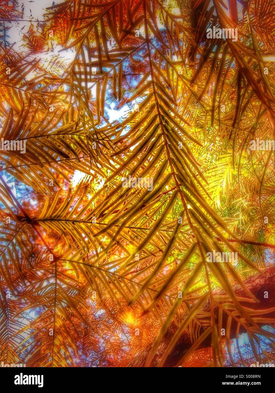 Golden winter leaves hi-res stock photography and images - Alamy