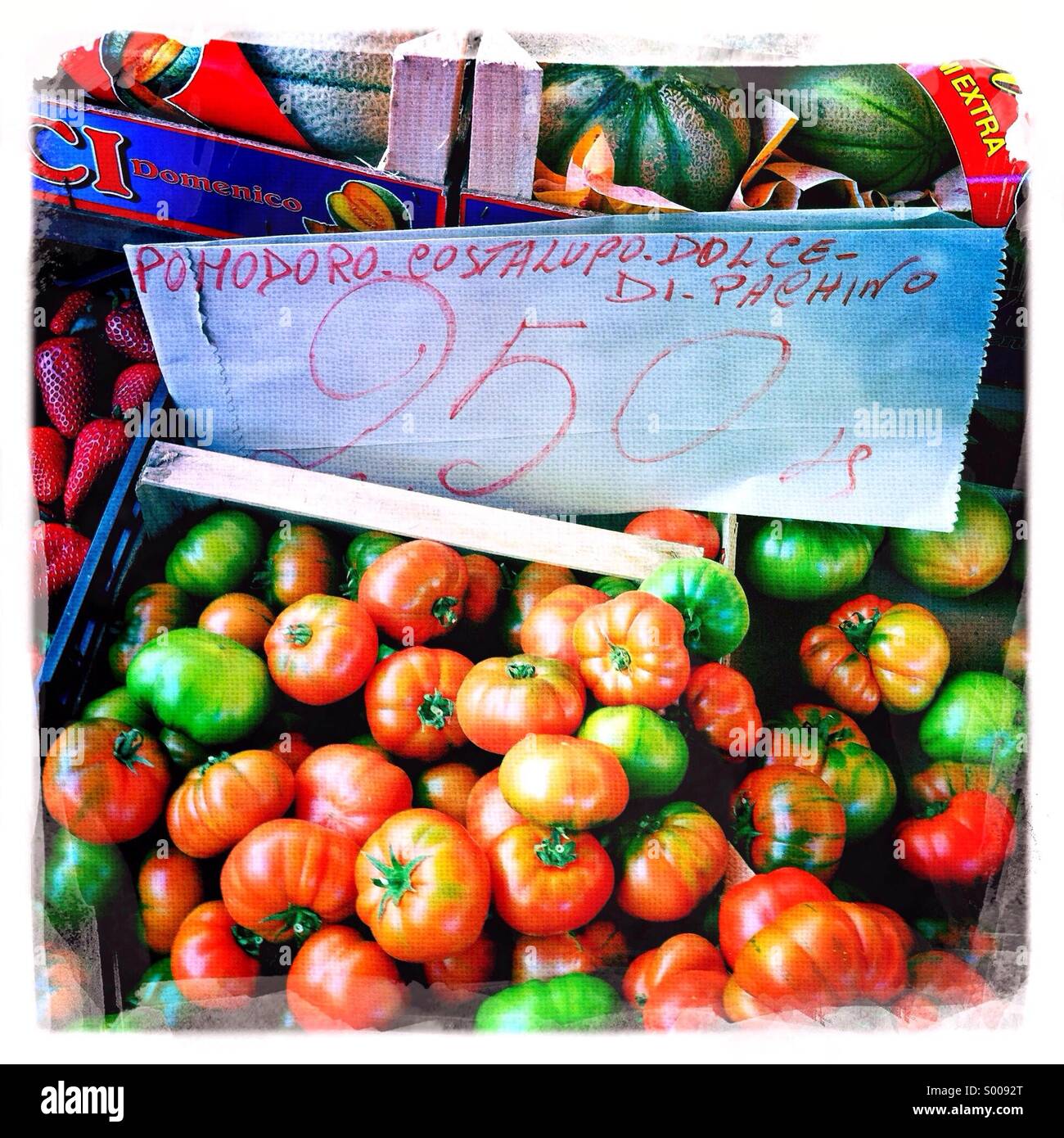 Tomato harvest italy hi-res stock photography and images - Alamy