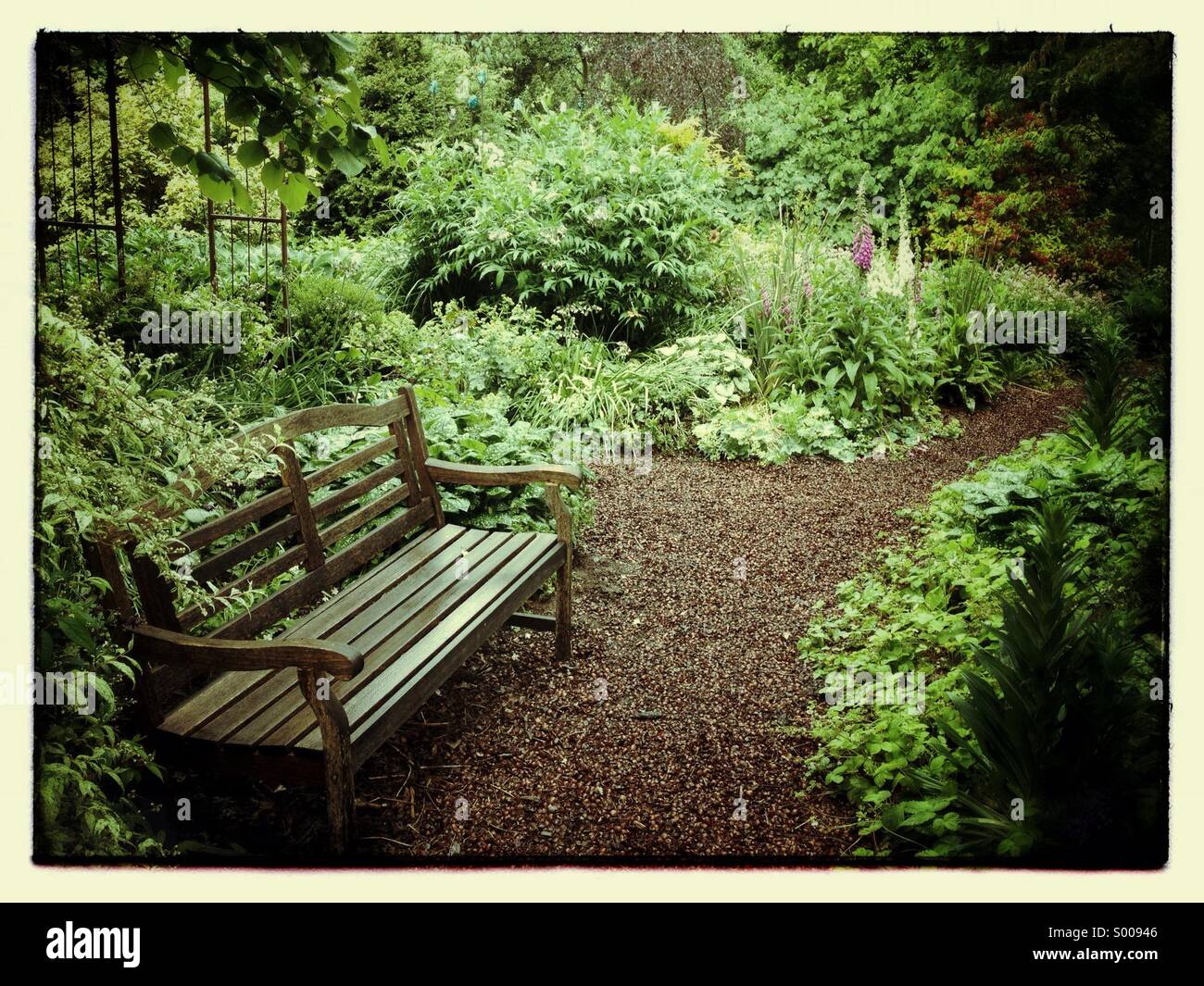 Retro style garden bench and path Stock Photo - Alamy
