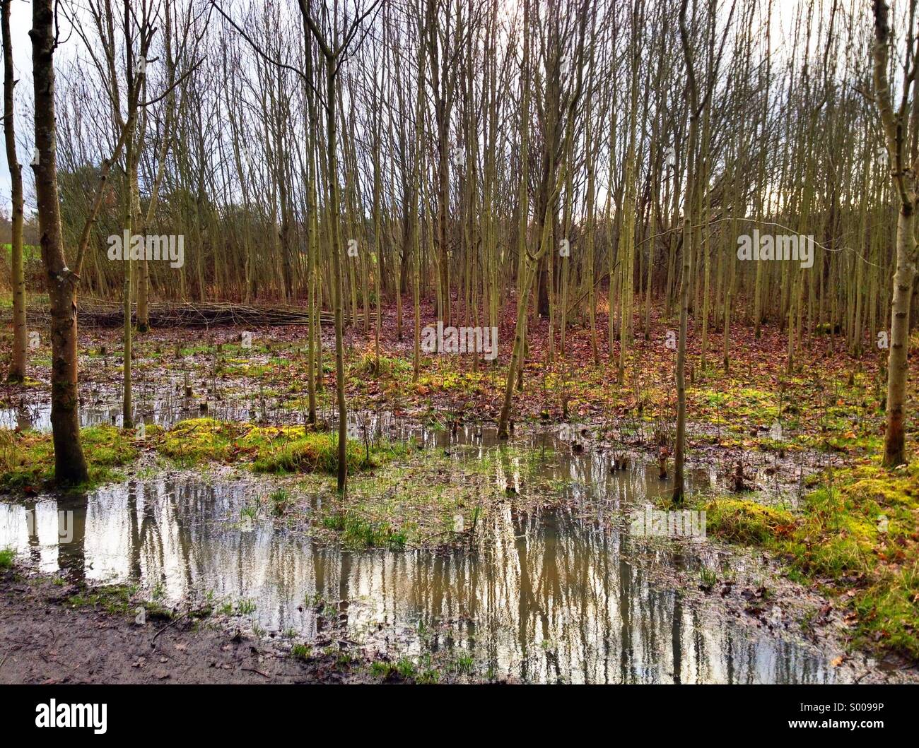 Flooding in Horton Park Stock Photo - Alamy