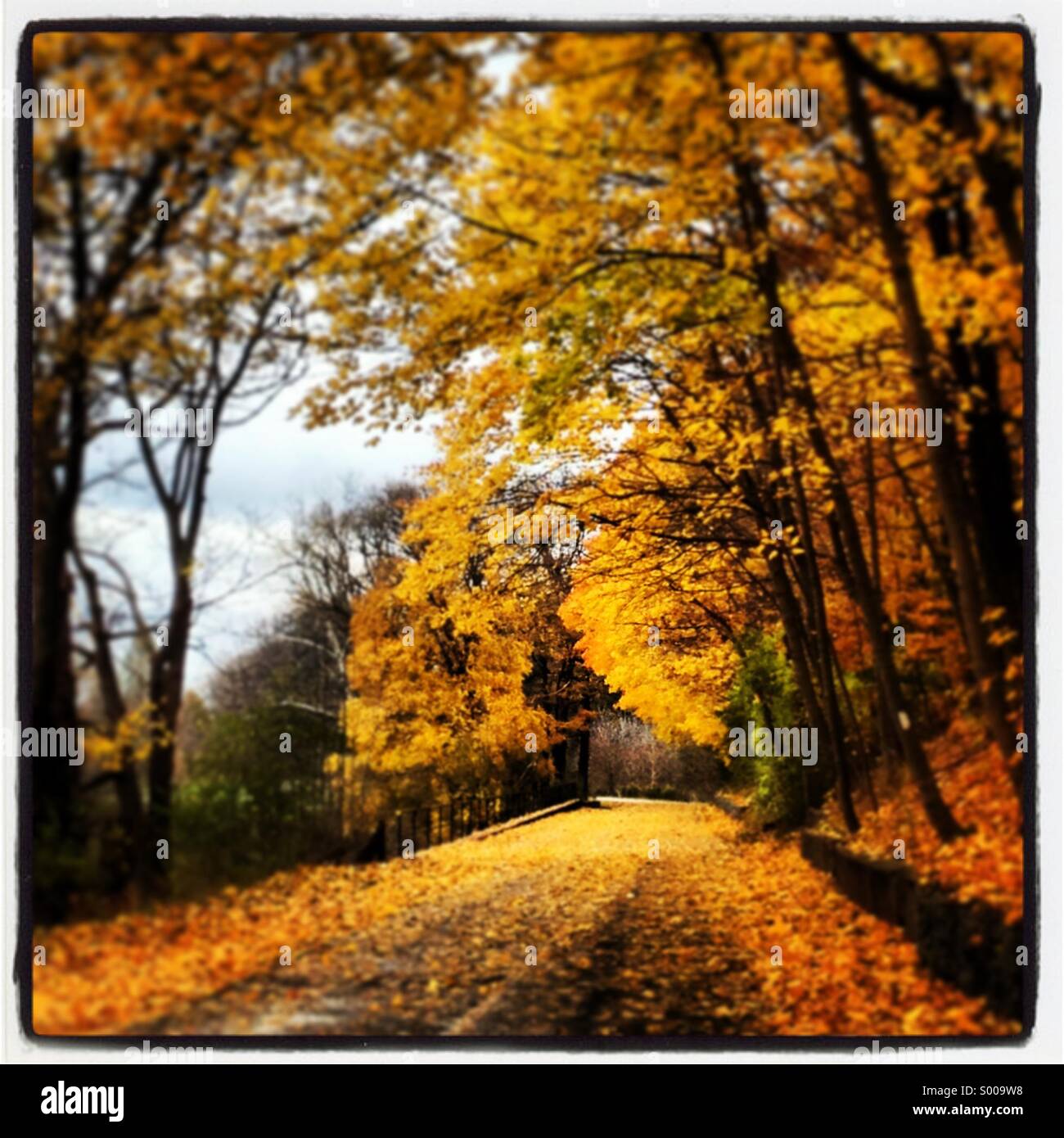 Autumn in london hi-res stock photography and images - Alamy