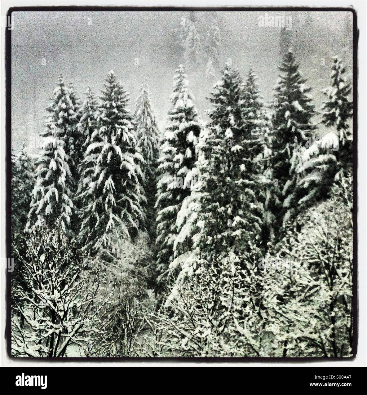 Marittime alps hi-res stock photography and images - Alamy