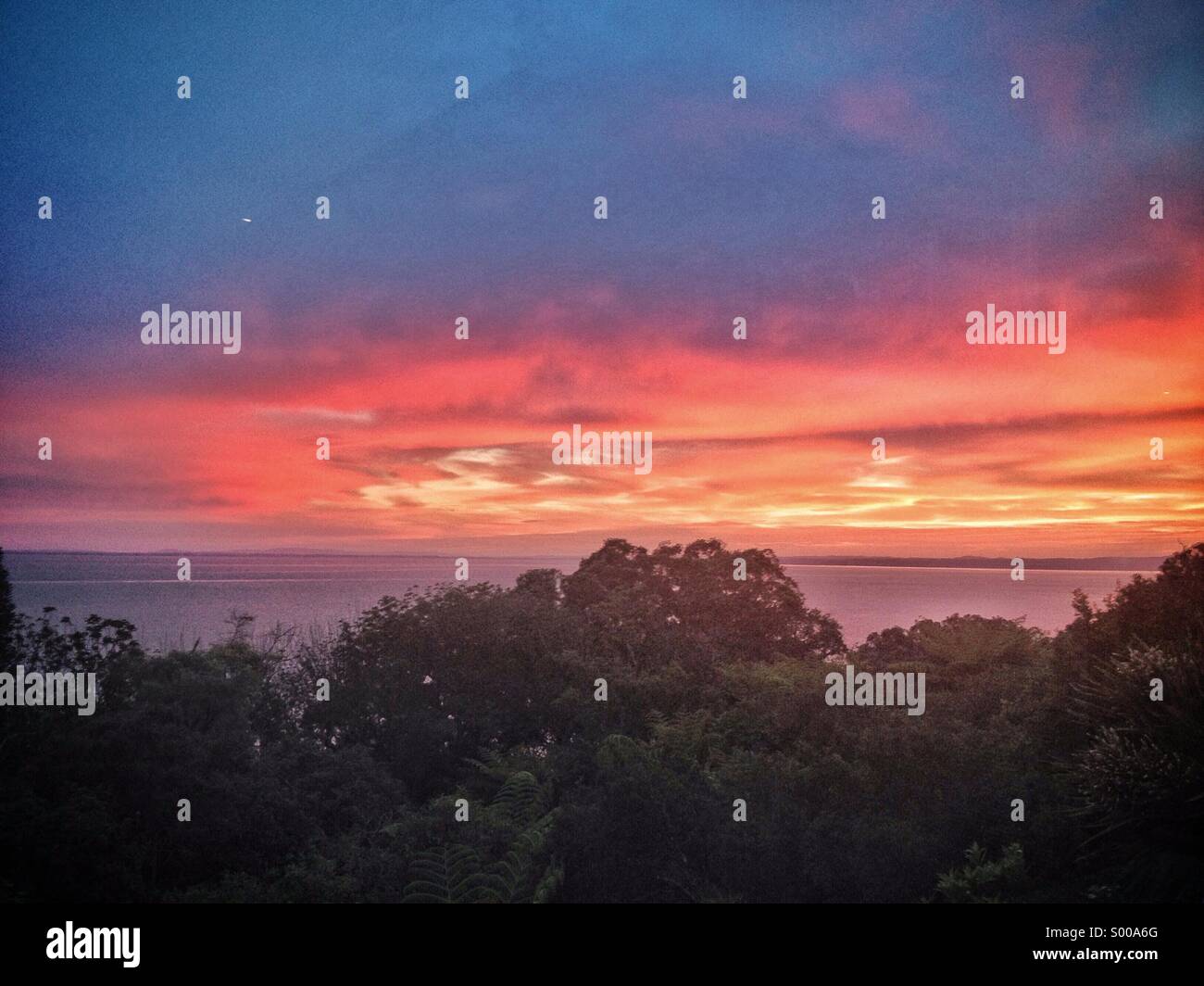 Manukau harbour hi-res stock photography and images - Alamy
