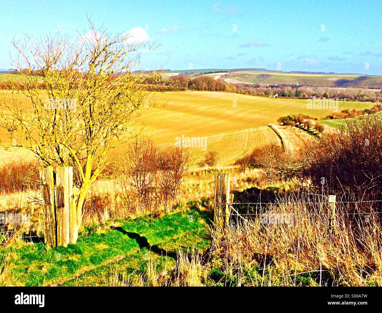 Wylye valley hi-res stock photography and images - Alamy