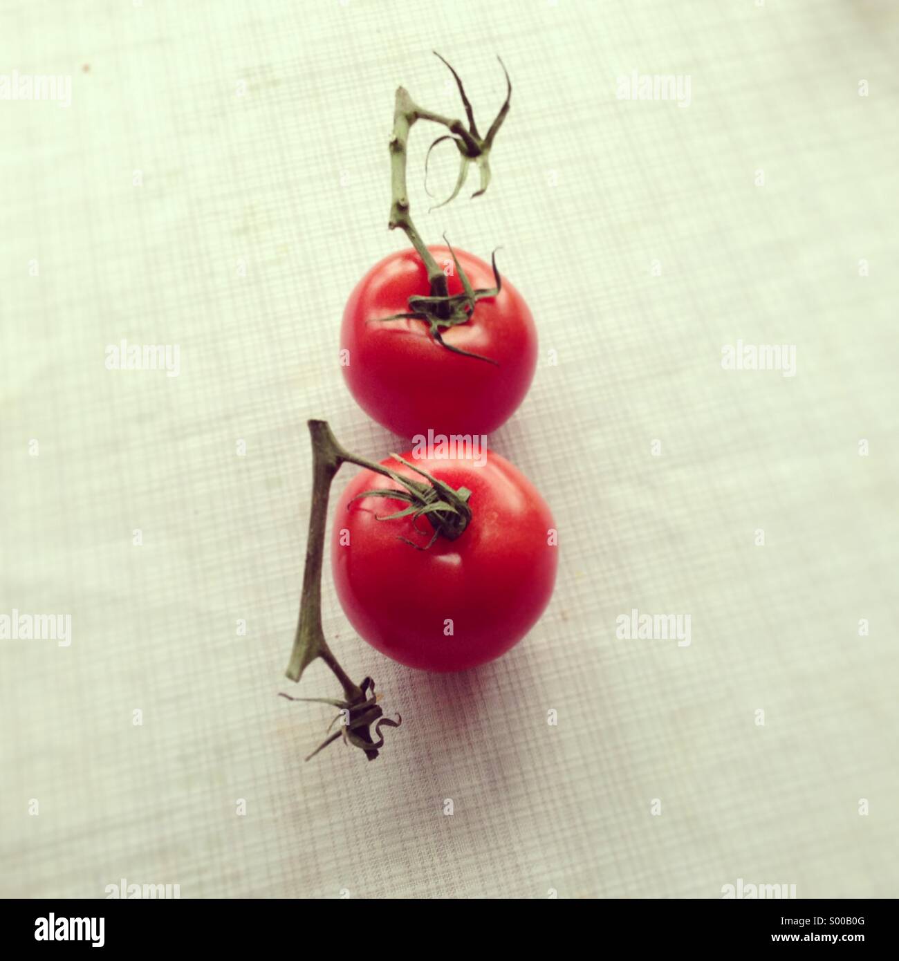 Tomato pop art hi-res stock photography and images - Alamy