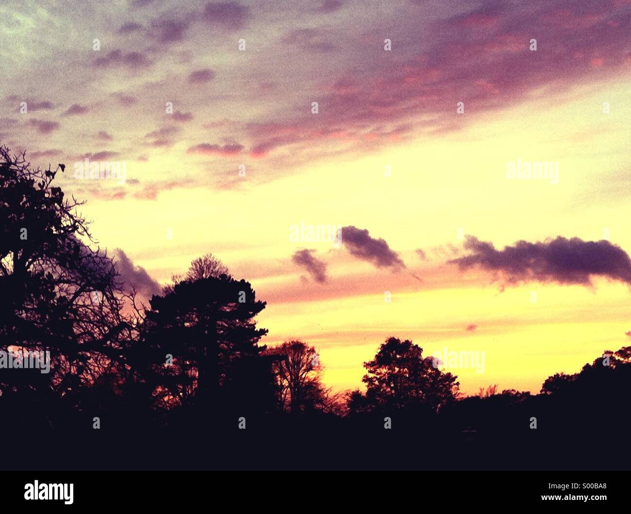 Sunset with silhouette trees hi-res stock photography and images - Alamy