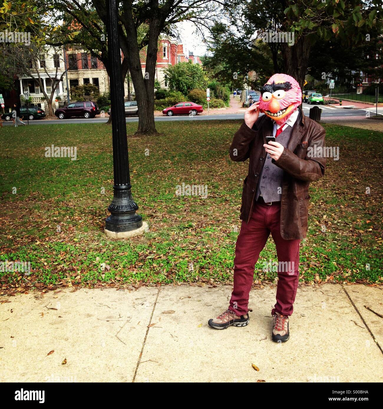 Muppet hi-res stock photography and images - Alamy