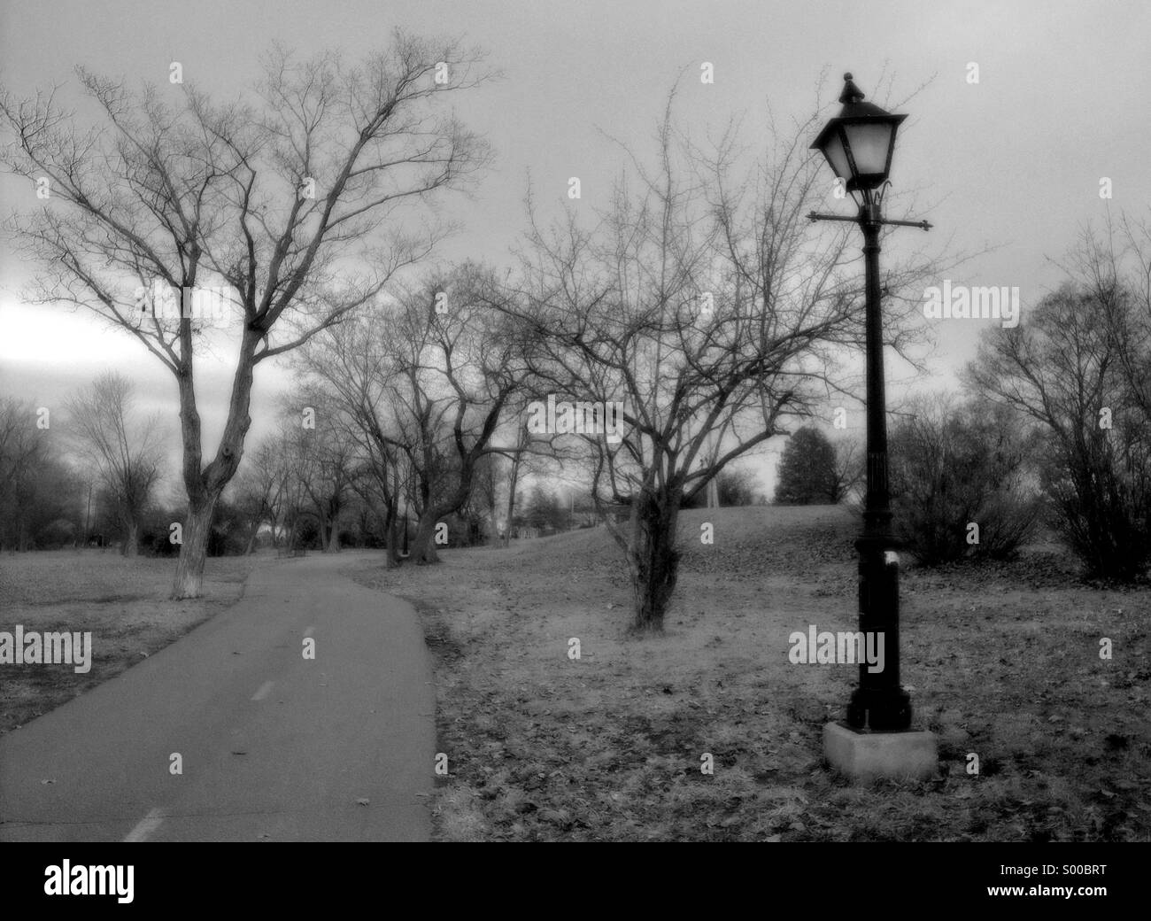 Creepy pathway hi-res stock photography and images - Alamy
