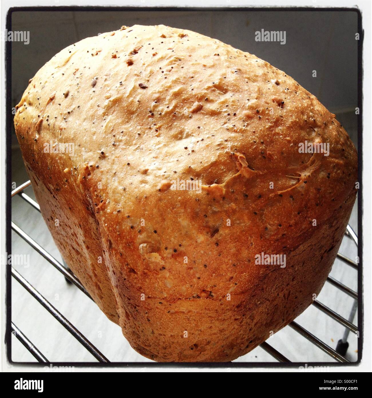 Freshly baked bread Stock Photo - Alamy
