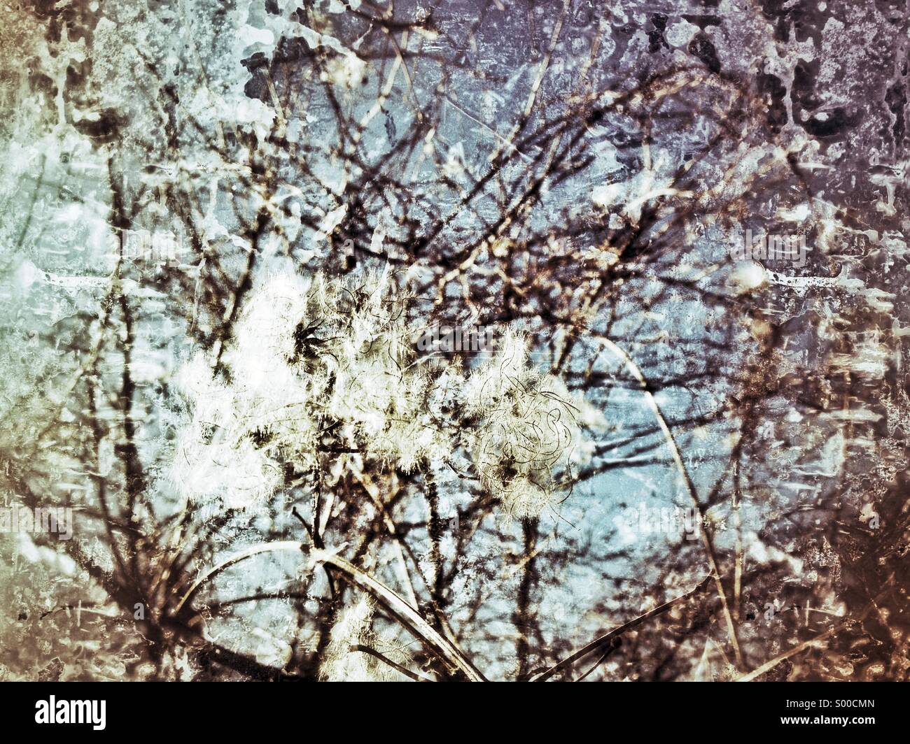 Grunge nature hi-res stock photography and images - Alamy