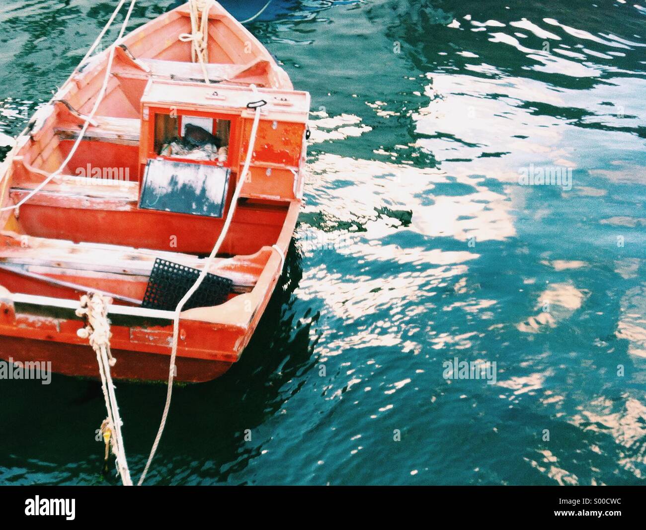 Rowboat with dove Stock Photo - Alamy