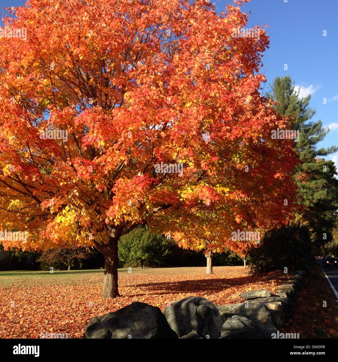 New england fall foliage hi-res stock photography and images - Alamy