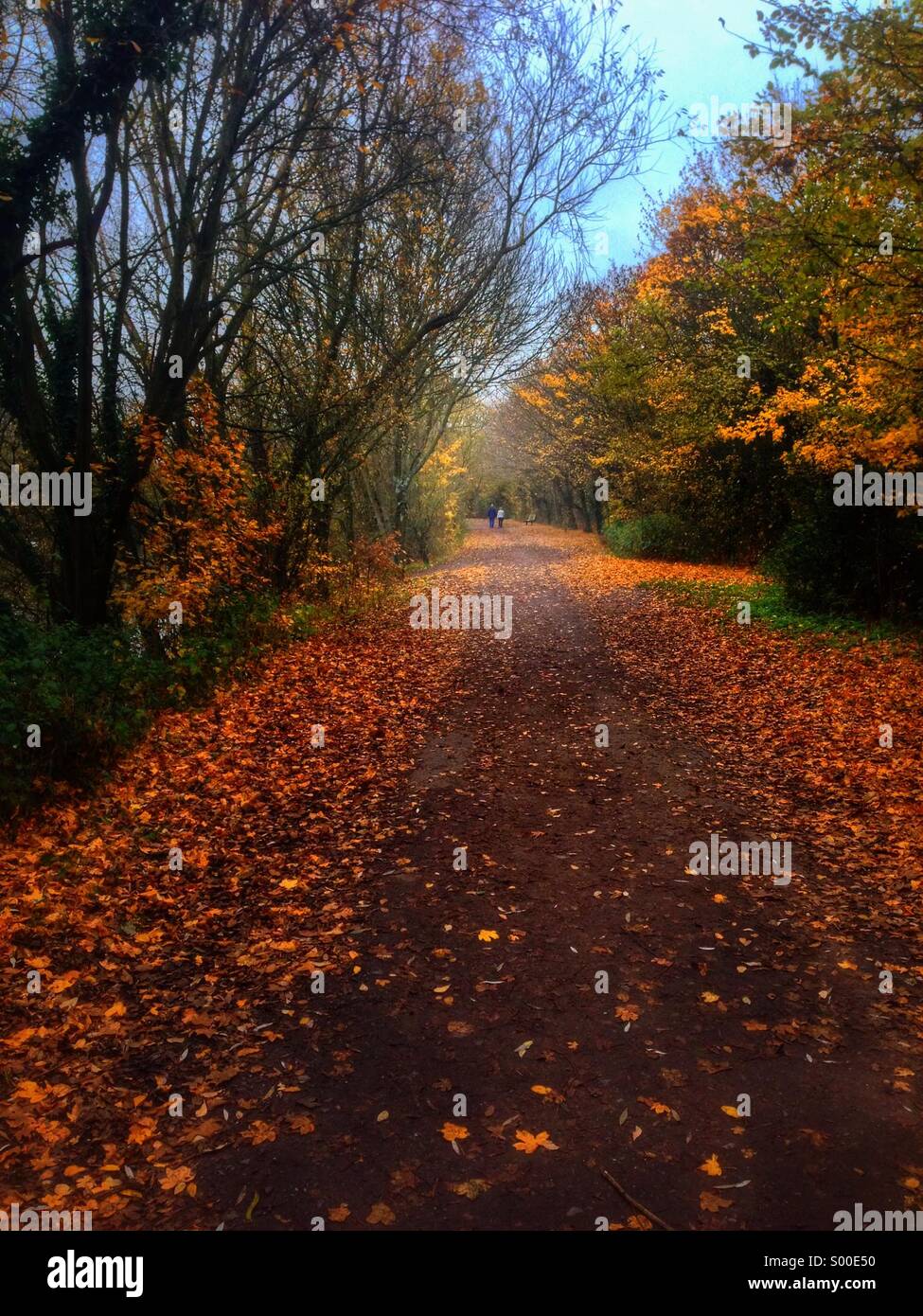 Dinton hi-res stock photography and images - Alamy
