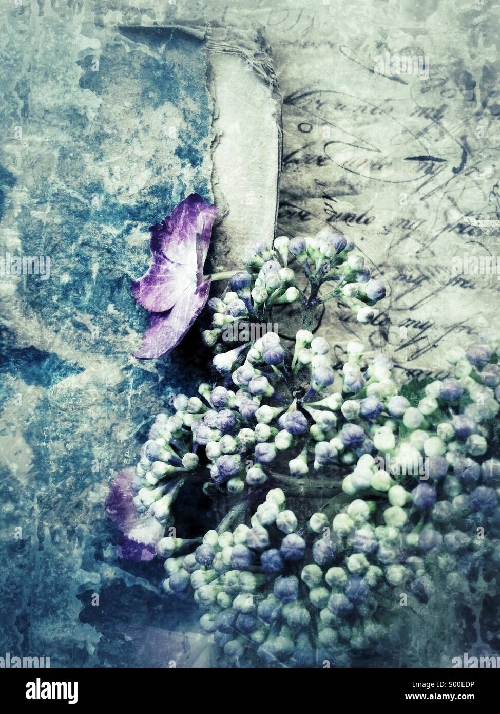 Purple phone book hi-res stock photography and images - Alamy