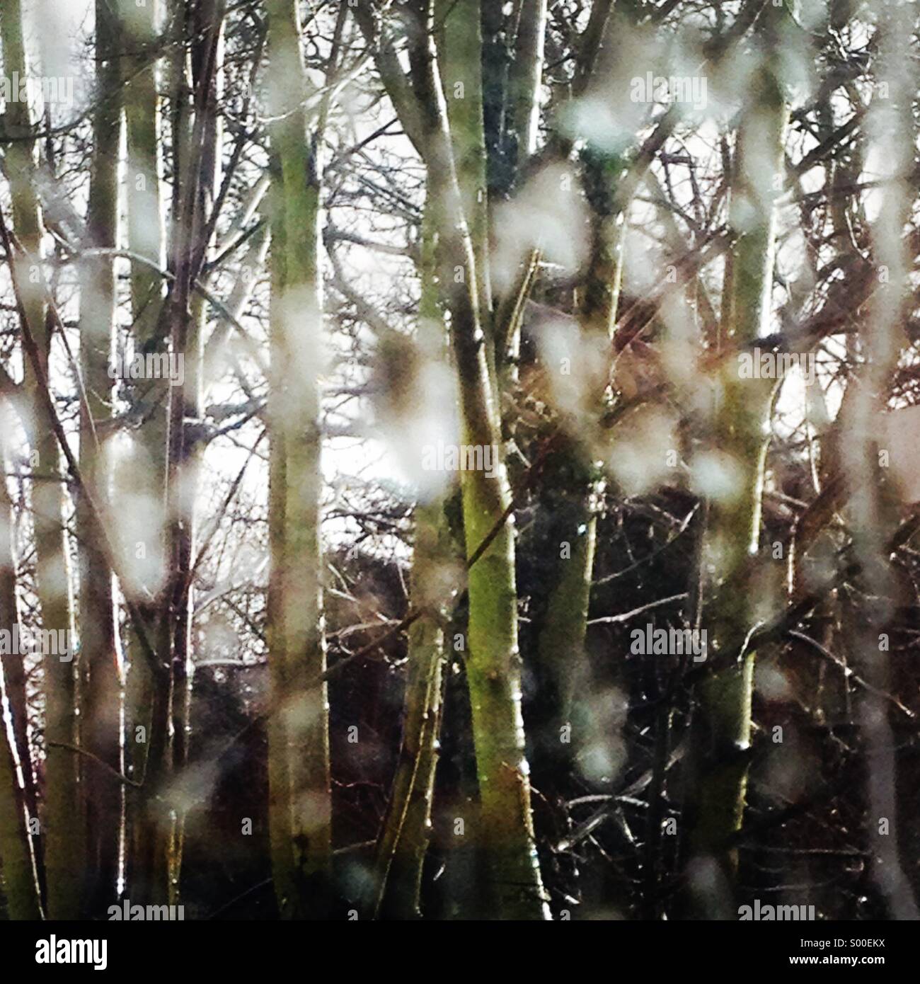 Sunshine And Rain Stock Photos & Sunshine And Rain Stock Images - Alamy