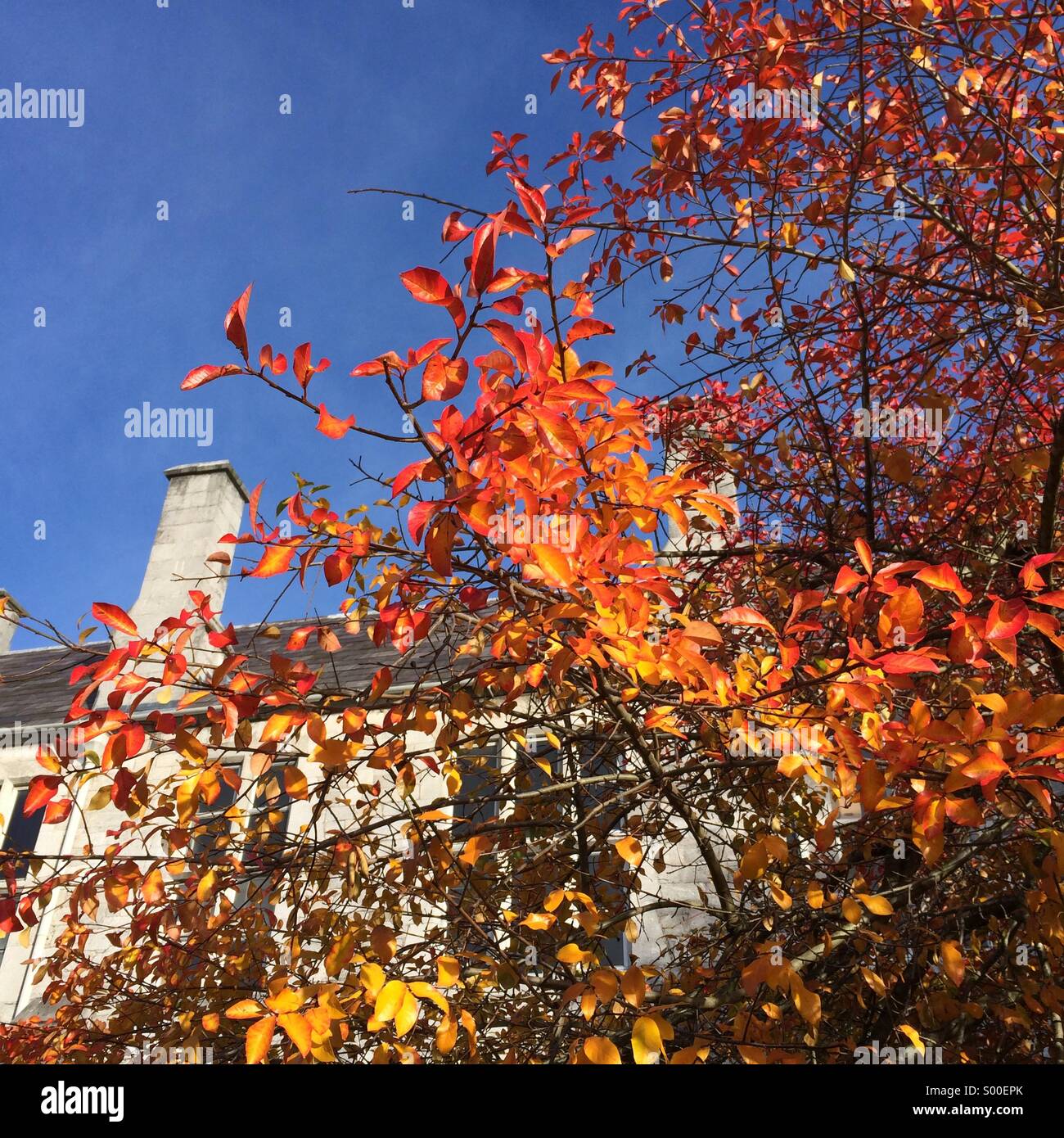 University college cork hi-res stock photography and images - Alamy