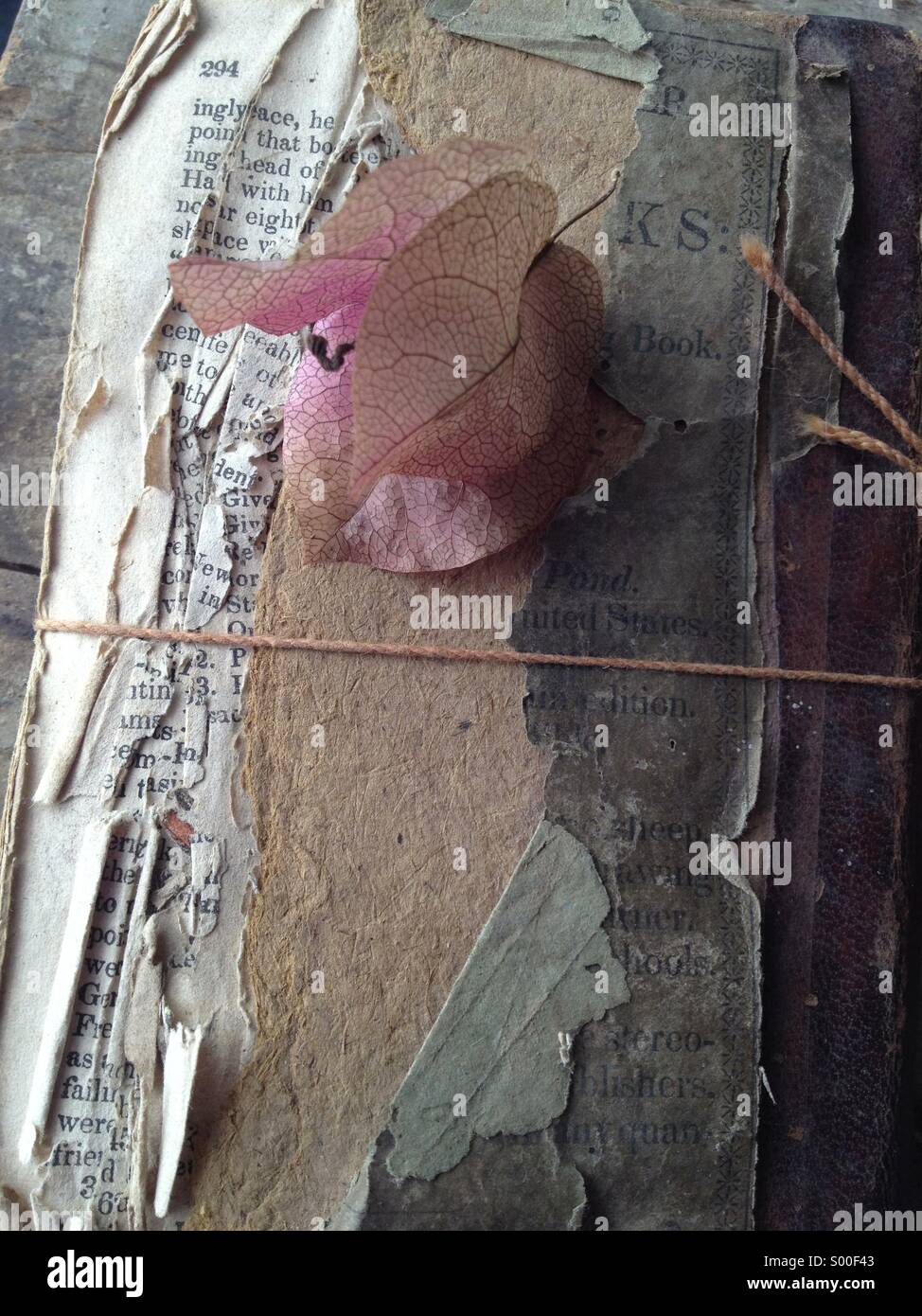 Damaged book hi-res stock photography and images - Alamy