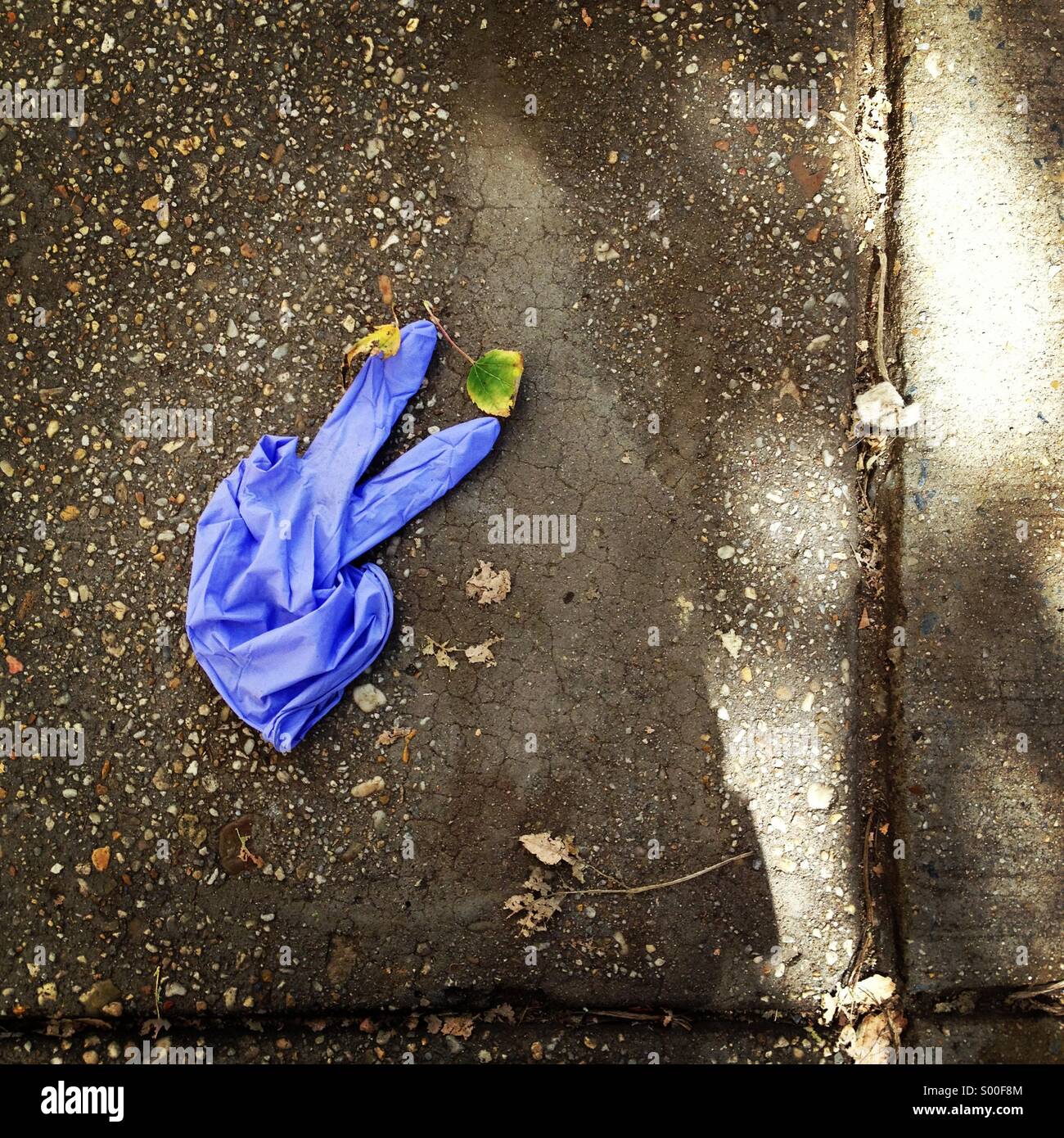 Discarded latex glove hi-res stock photography and images - Alamy