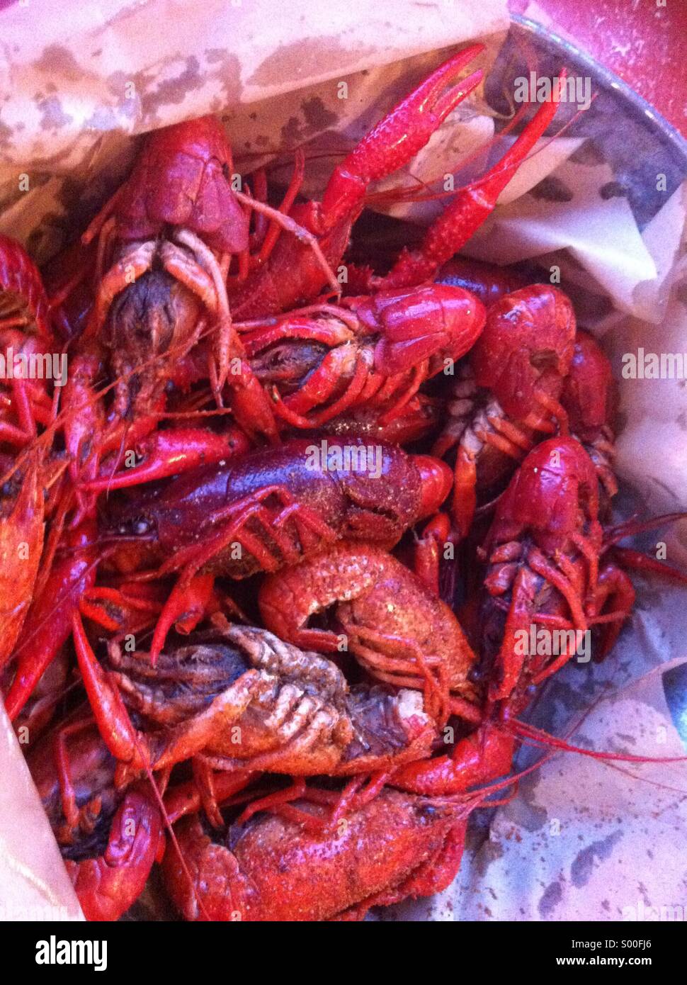 Crawdad hi-res stock photography and images - Alamy