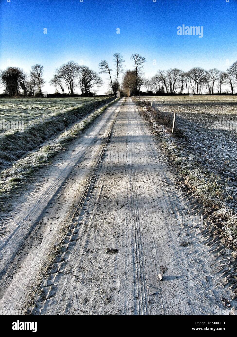 Frosty track through countryside hi-res stock photography and images ...