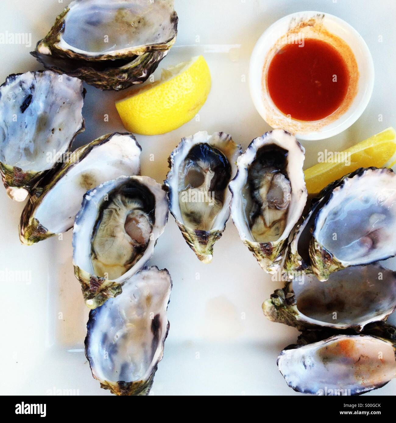 Oysters ready for eating Stock Photo - Alamy
