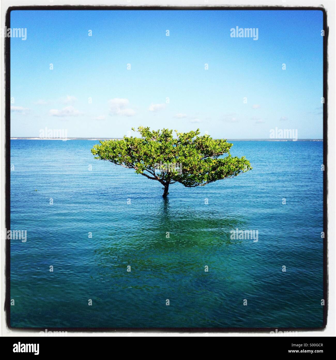 Instagram underwater hi-res stock photography and images - Alamy