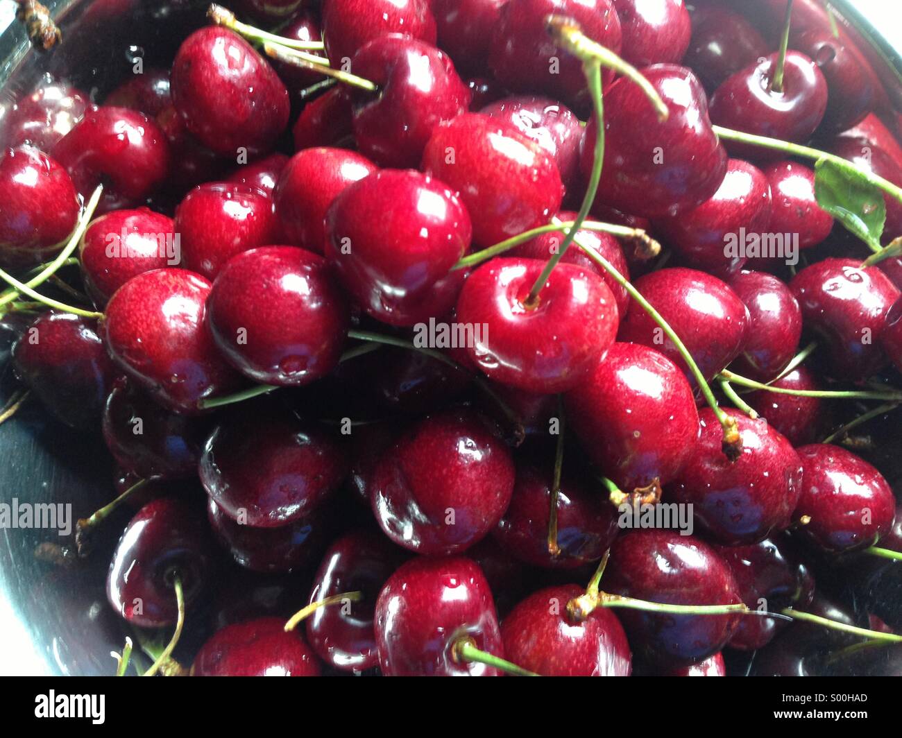 Freshly washed bing cherries Stock Photo - Alamy