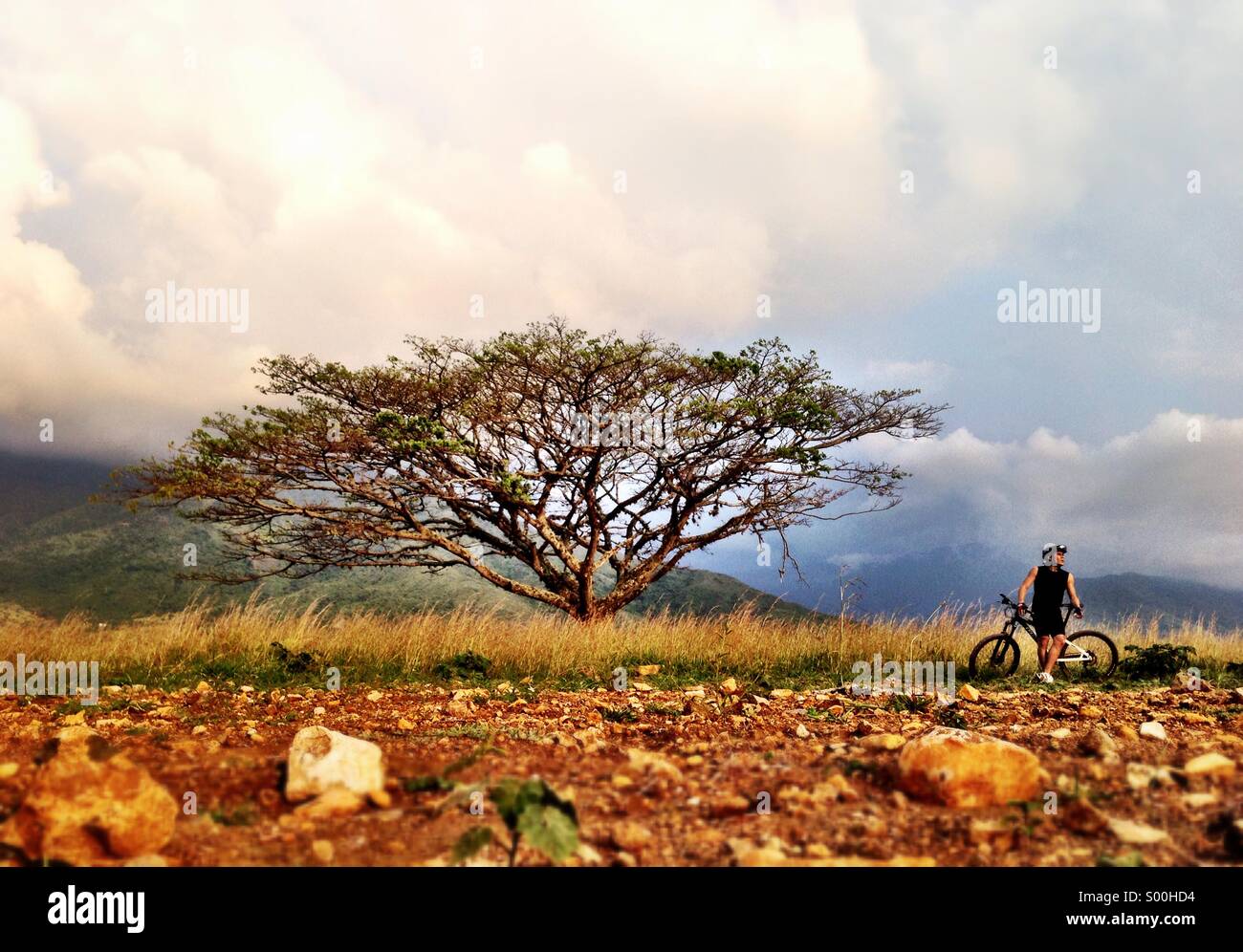 Oxygenating hi-res stock photography and images - Alamy