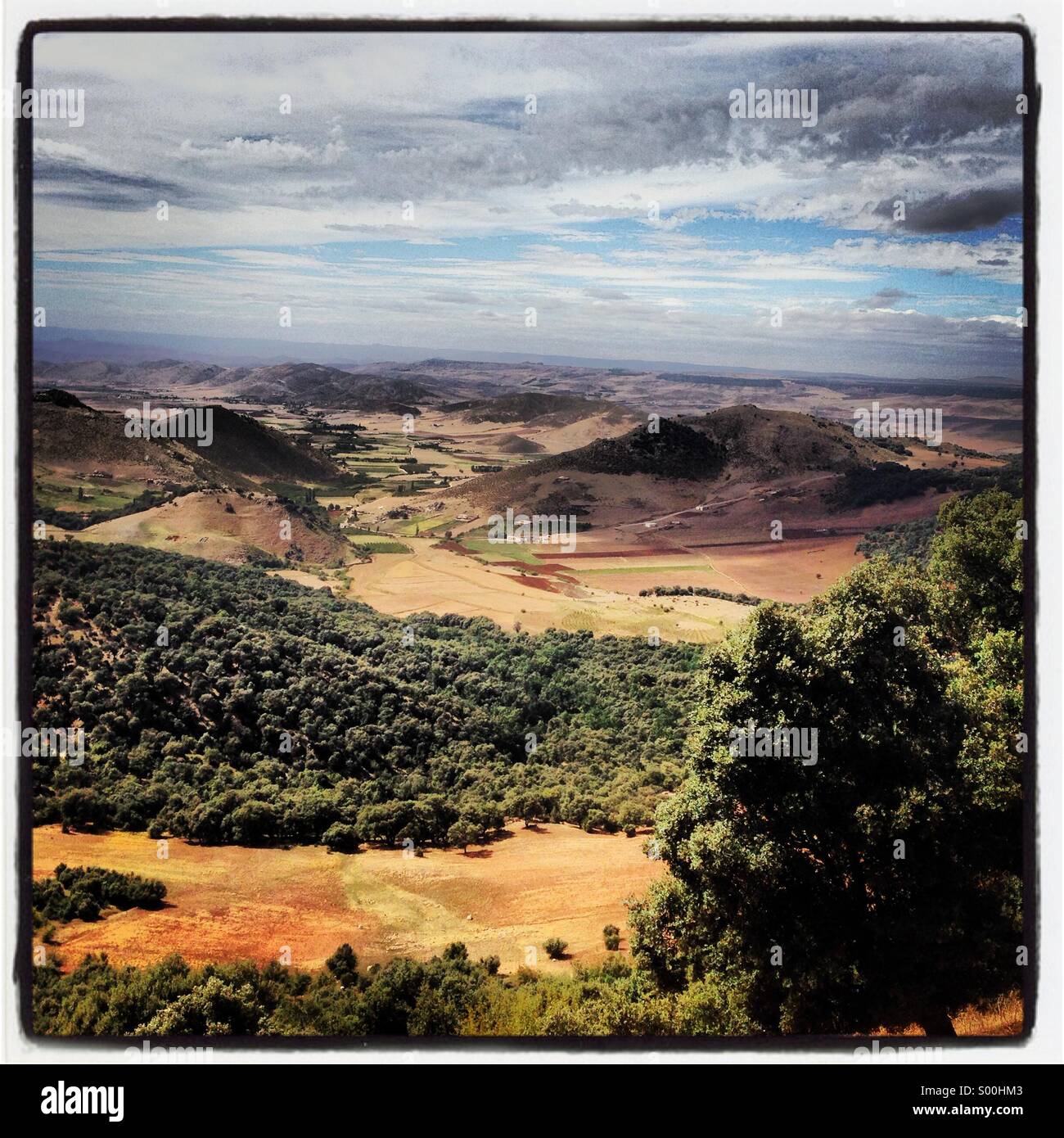 Desert landscape, Ifrane, Middle Atlas, Morocco Stock Photo - Alamy