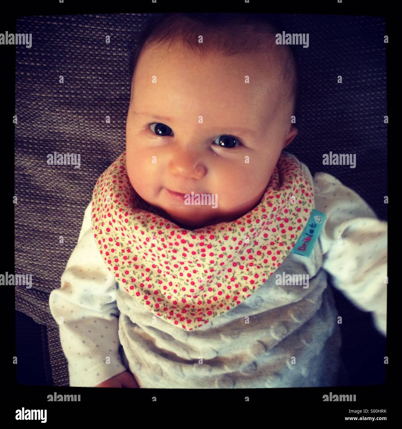 12 weeks hi-res stock photography and images - Alamy