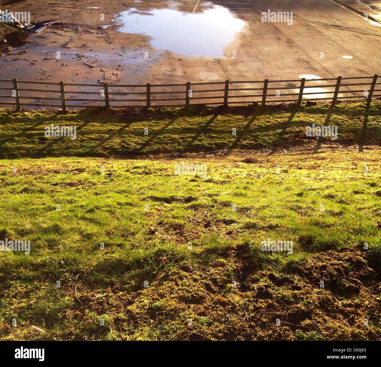 Runshaw hi-res stock photography and images - Alamy