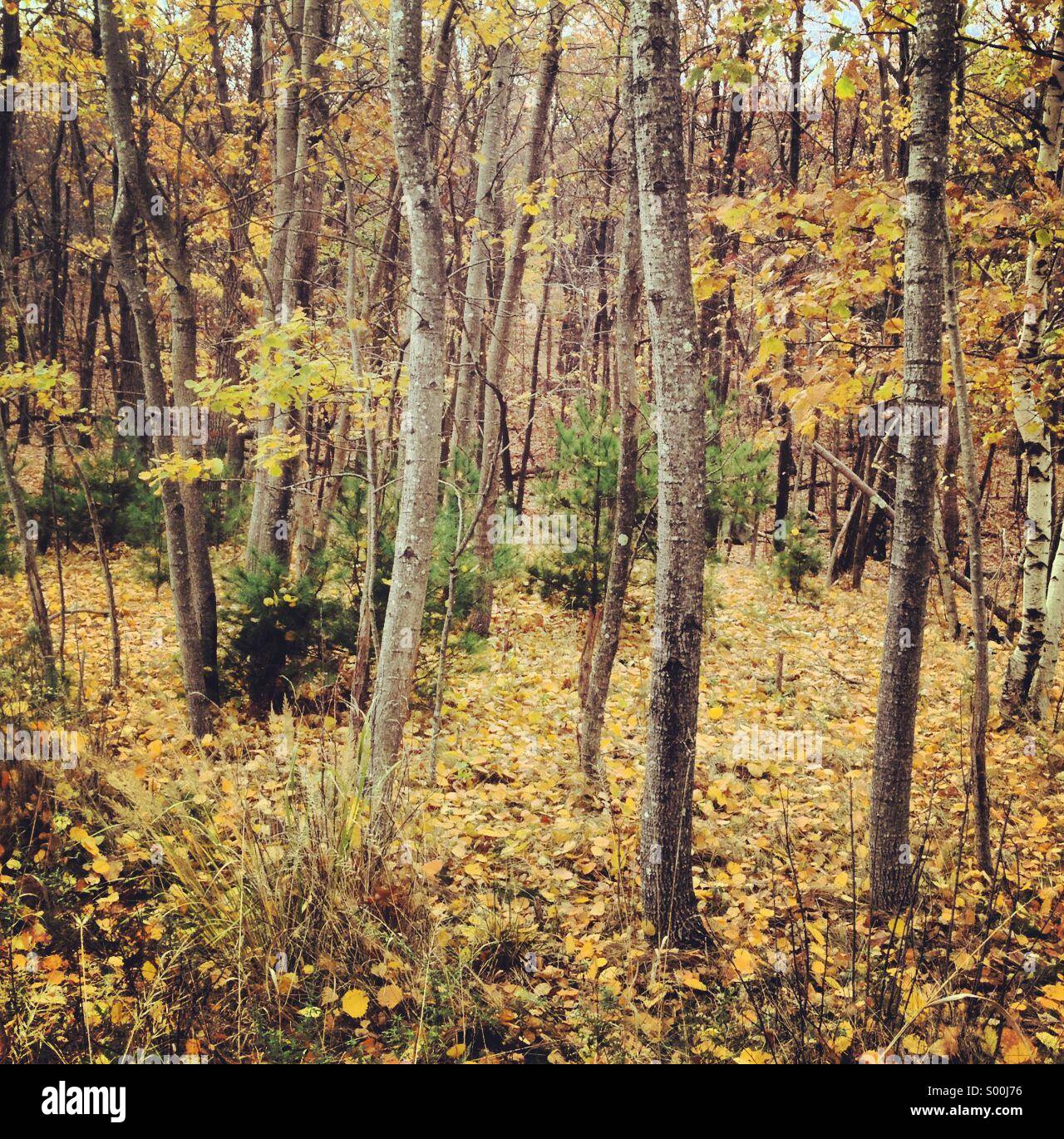 Braintree ma hi-res stock photography and images - Alamy