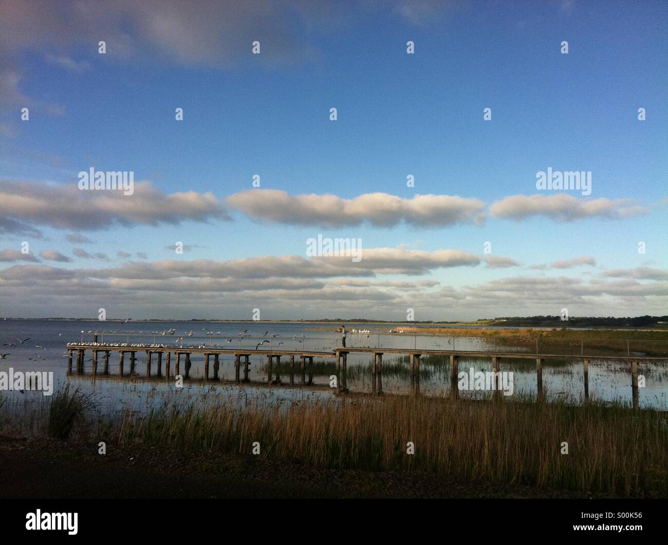 Dock Of The Bay Stock Photo - Alamy